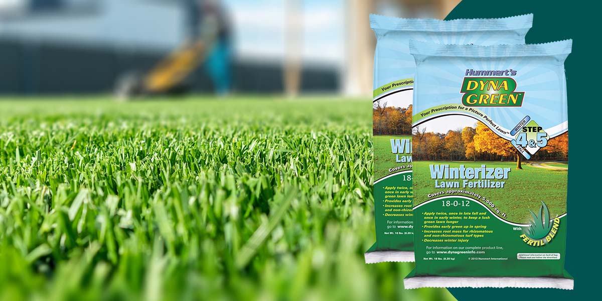 Why It’s Important to Apply Winterizer in the Fall – Dyna Green